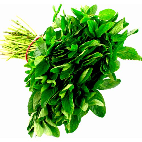 Verduras - undefined