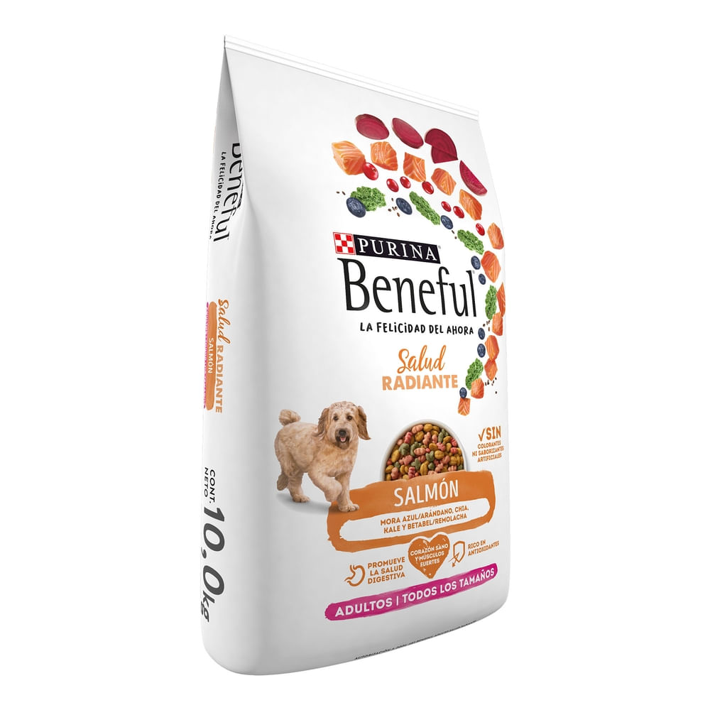 Alimento Perro Adulto Purina Beneful Salud Radiante 4 kg